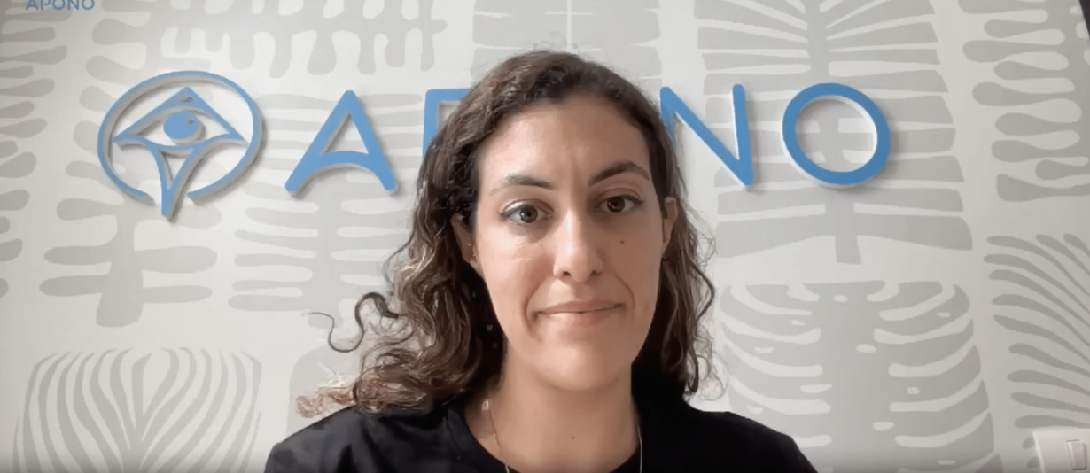 Snowflake Breach Attack Insights - Apono